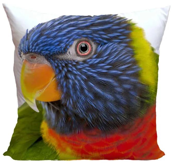 Polštář Barevný papoušek 40x40 cm