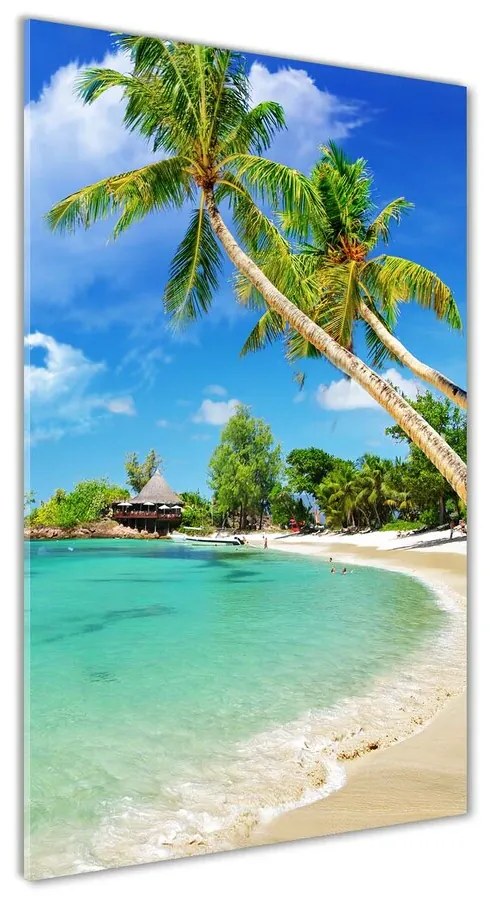 Wallmuralia Foto obraz skleněný svislý Tropická pláž 50x100 cm