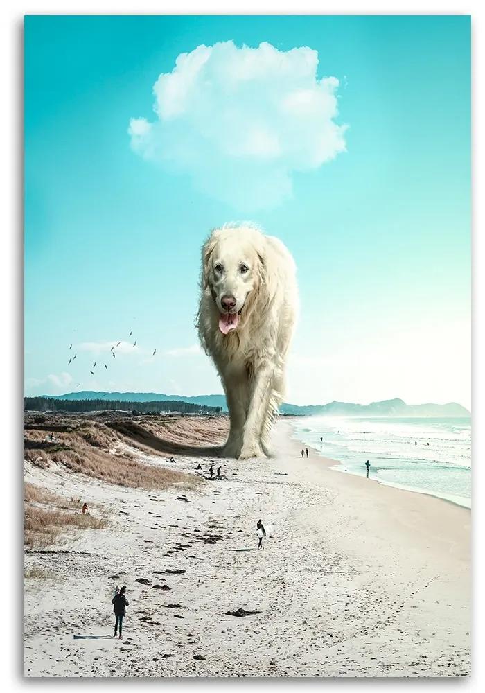 Gario Obraz na plátně Procházka po pláži - Alex Griffith Rozměry: 40 x 60 cm