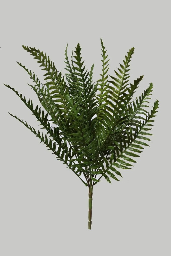 Tmavě zelený nephrolepis 48cm