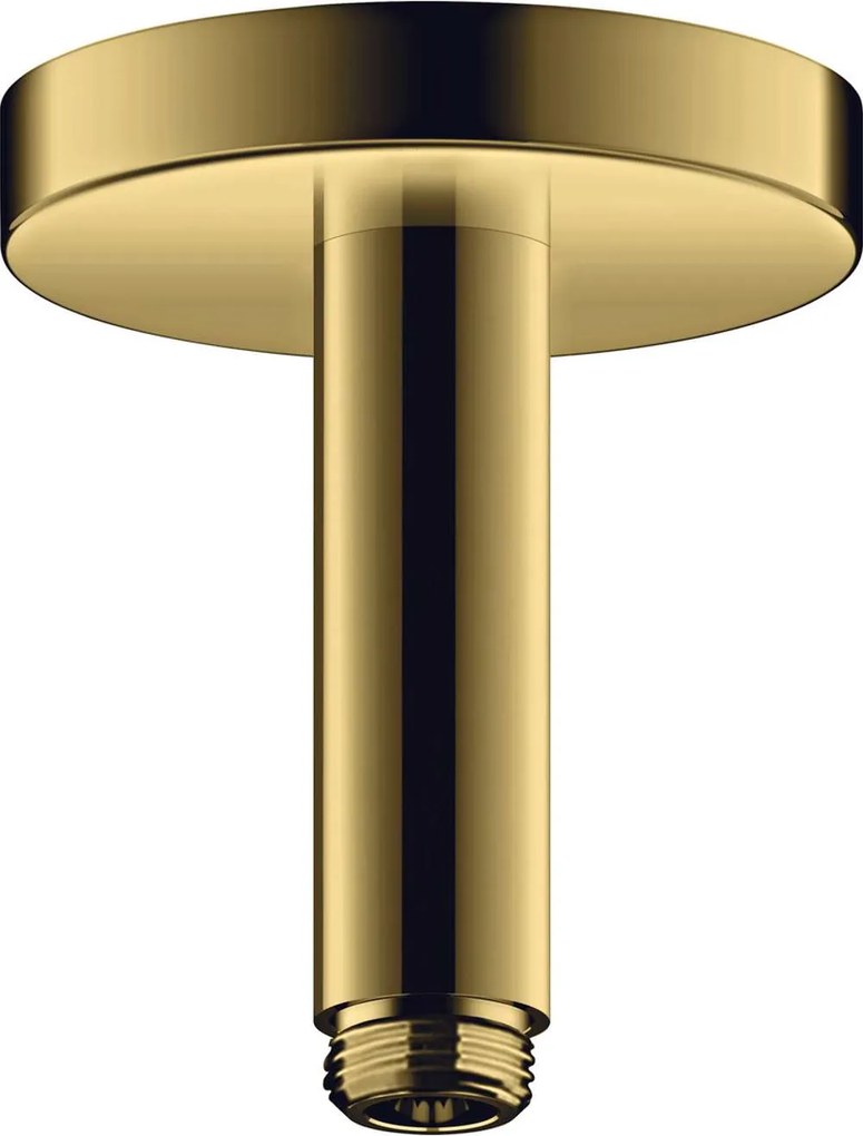 Axor ShowerSolutions - Sprchové rameno stropní, 10 cm, leštěný vzhled zlata 26432990