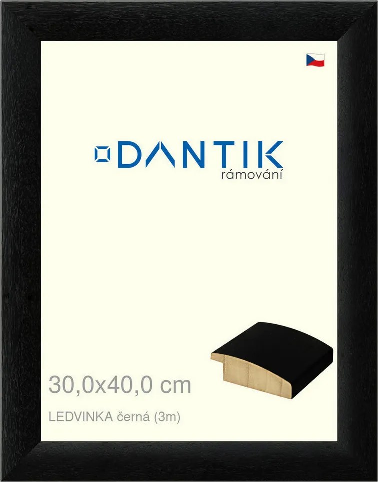 DANTIK rámeček 30x40 | LEDVINKA černá (Plexi Čiré)