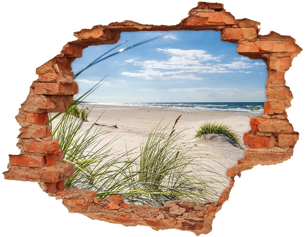 Wallmuralia Díra 3D ve zdi nálepka Mřežino pláž 90x70 cm
