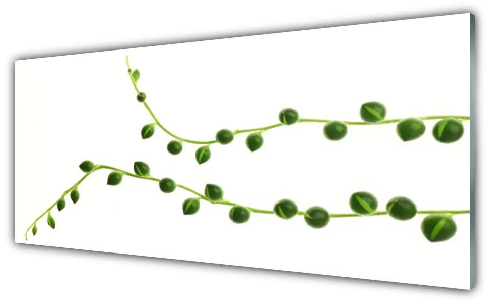 akrylový obraz Dekorativní Rostlina 125x50 cm