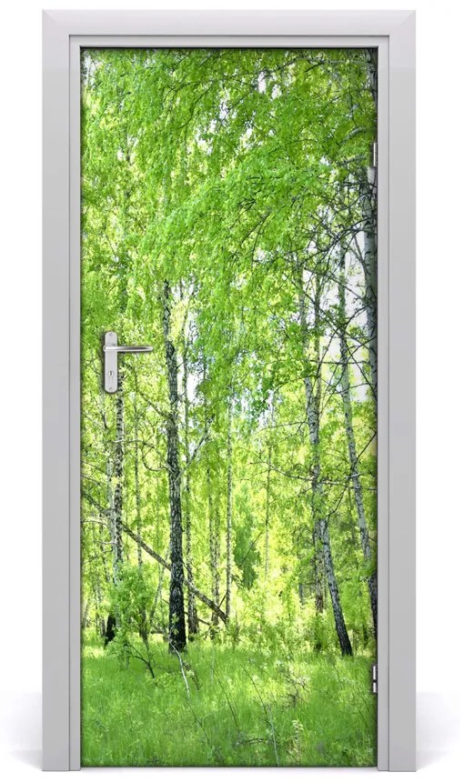 Fototapeta na dveře břízový les 75x205 cm