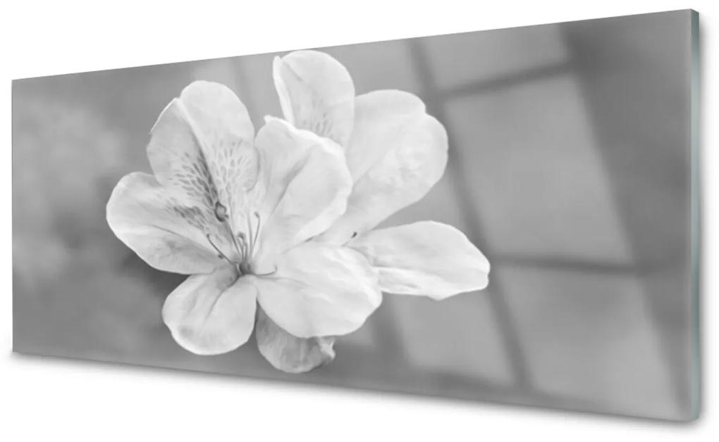 Obraz na skle Skleněný Květiny Rostlina