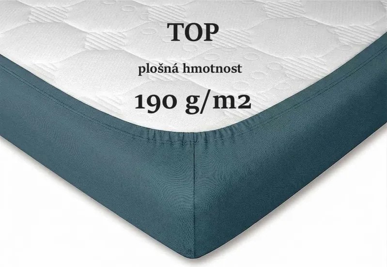 DADKA Jersey prostěradlo borůvkové Rozměr 100x220x20