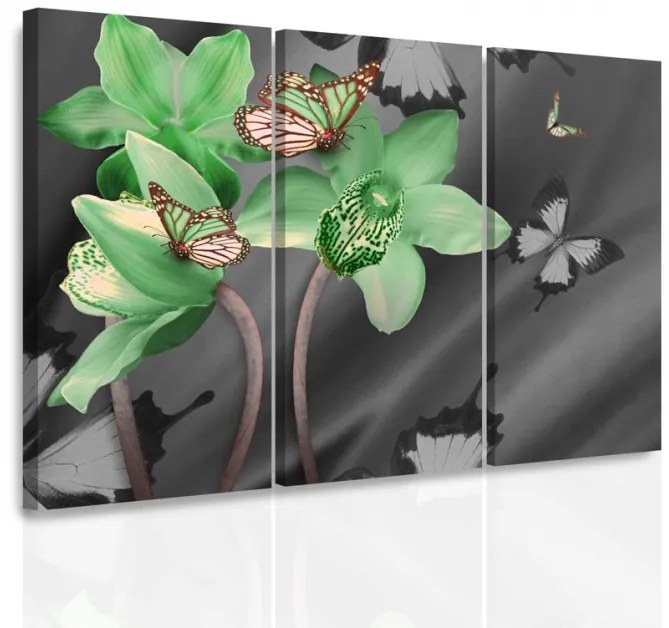 Vícedílný obraz - Zelená orchidej a motýli (90x60 cm) - InSmile ®