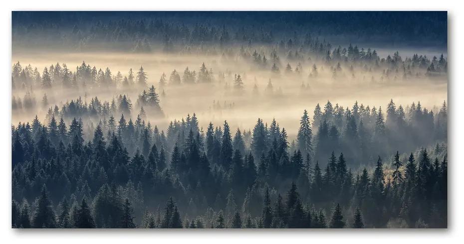 Wallmuralia Foto obraz fotografie na skle Mlha nad lesem 100x50 cm