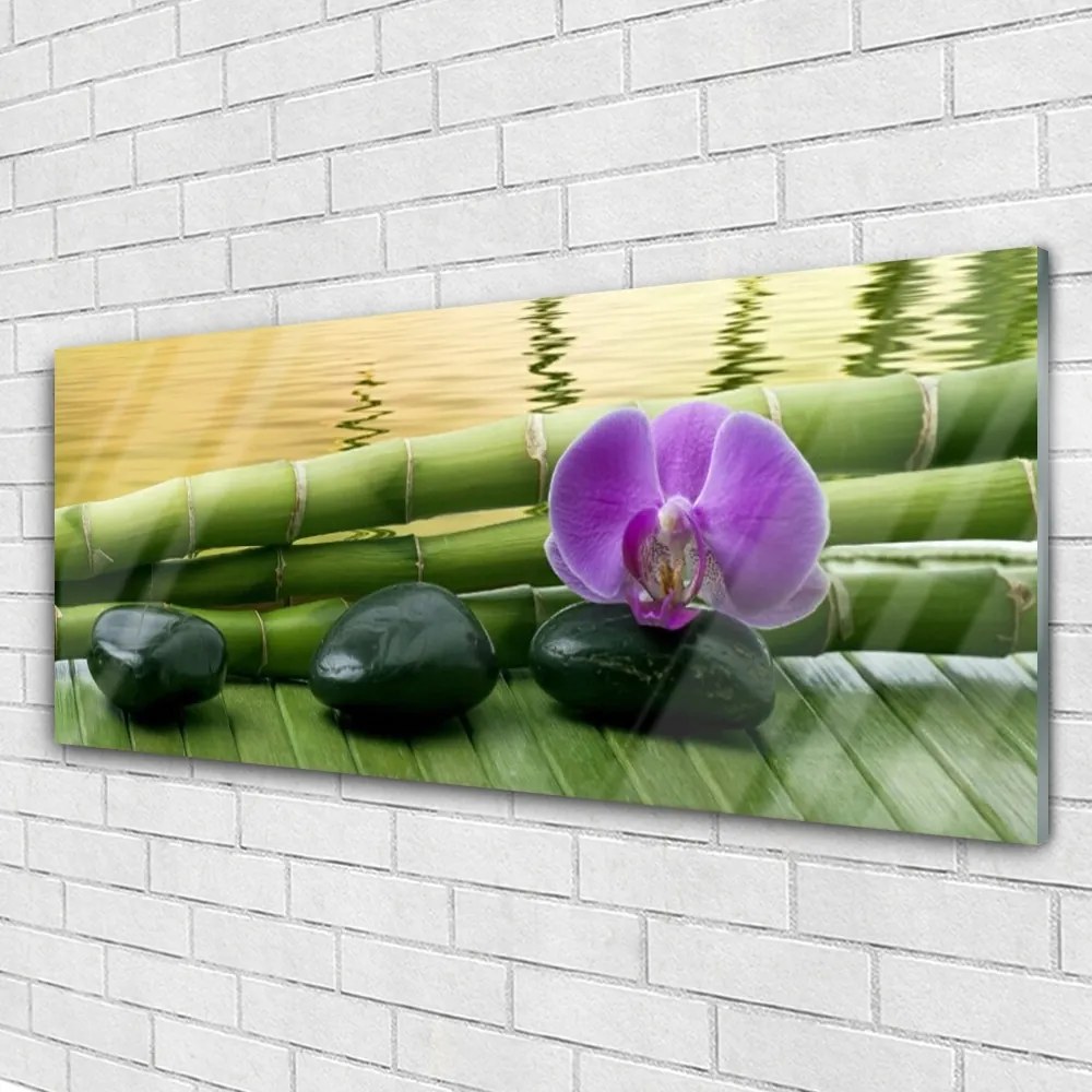 akrylový obraz Květ Kameny Bambus Příroda 125x50 cm