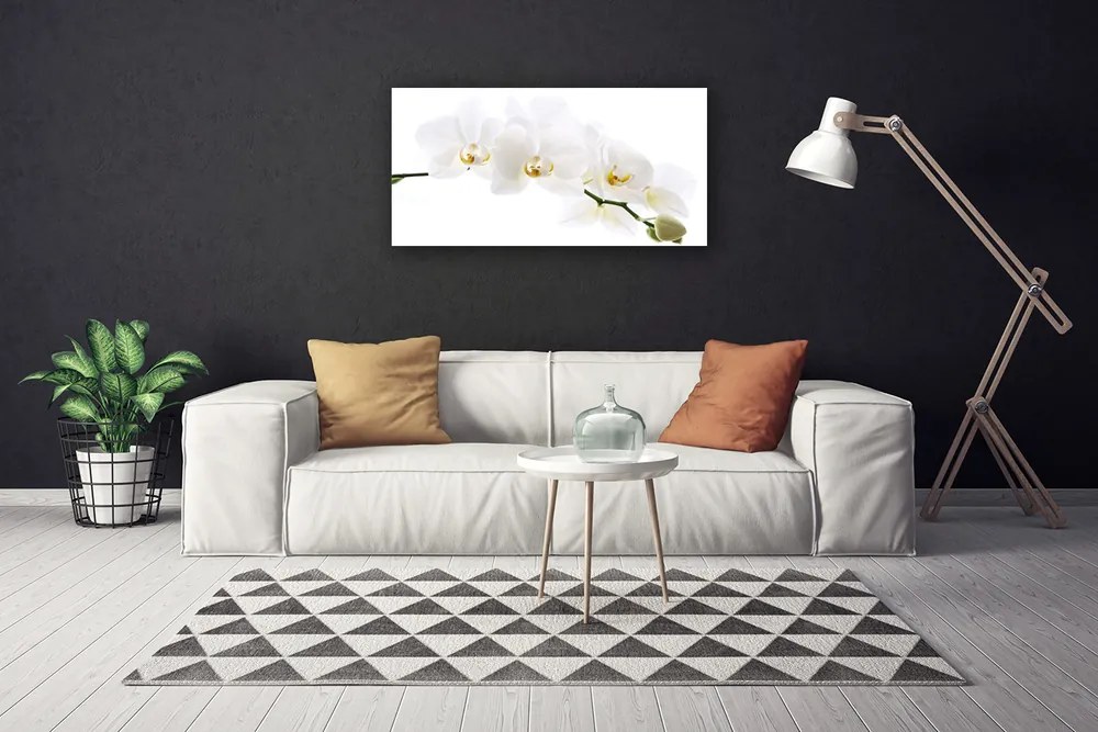 Obraz na plátně Květíny Rostlina 120x60 cm