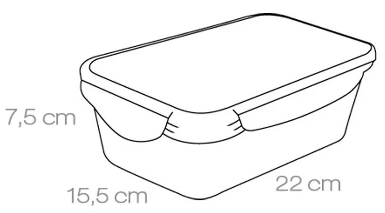 TESCOMA Dóza FRESHBOX 1,5 l, obdélníková