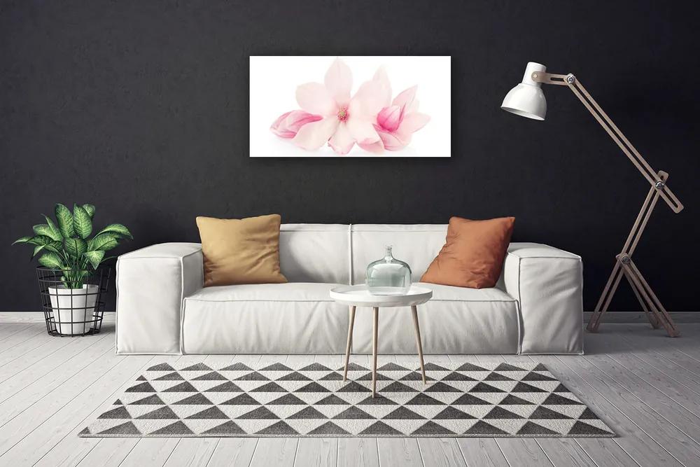 Obraz na plátně Květiny Plátky Rostlina Příroda 125x50 cm