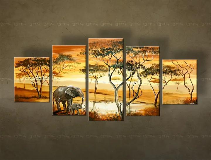 Ručně malovaný obraz na zeď AFRIKA FB395E5