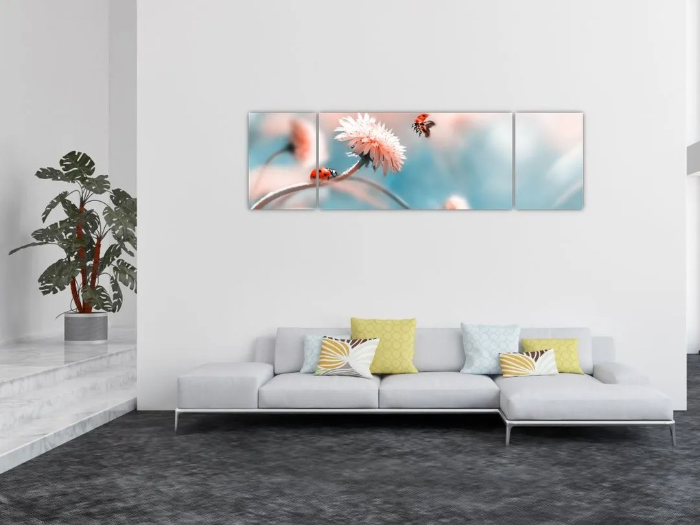 Obraz - Berušky na květu (170x50 cm)