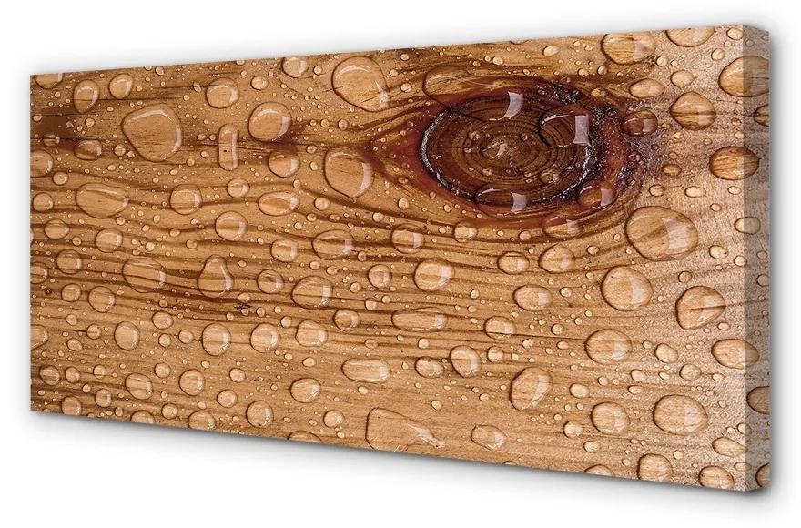Obrazy na plátně Kapky vody dřeva 125x50 cm