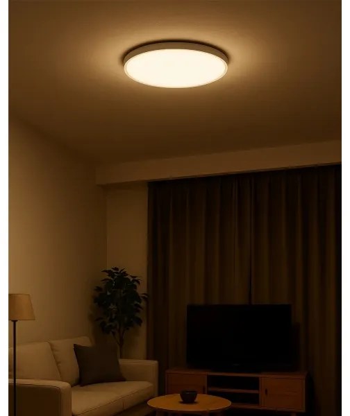 LED Stropní svítidlo LED/32W/230V 3000/4000/6500K pr. 40 cm bílá