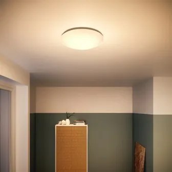 LED Stropní svítidlo Philips Suede 31802/31/16 bílé 4000K 38cm