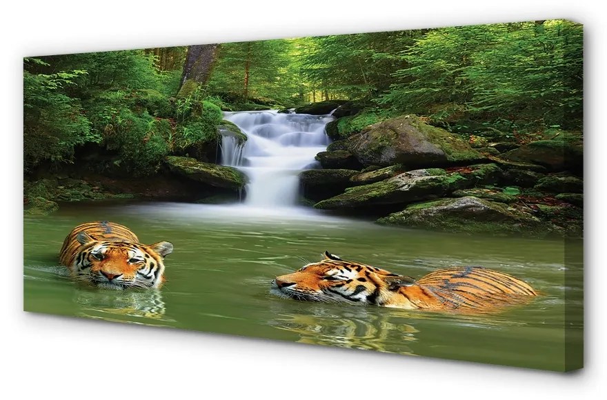 Obrazy na plátně vodopád tygři 125x50 cm