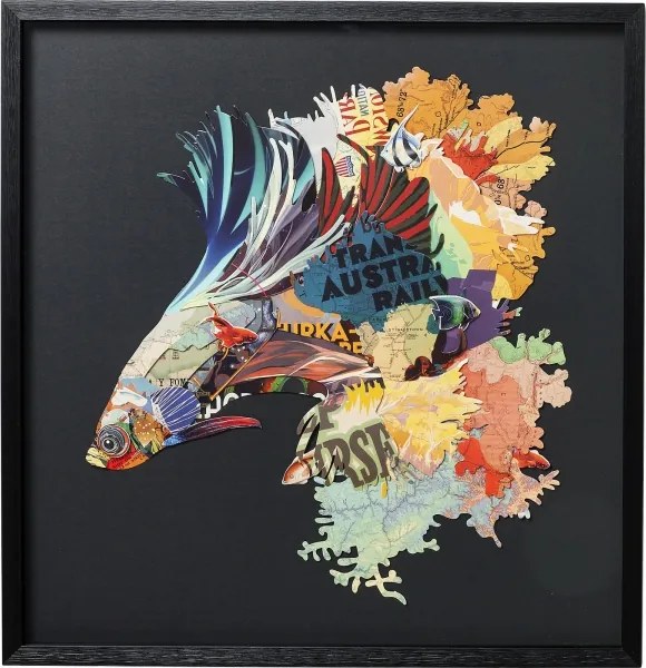 Obraz Frame Art Betta Fish Colore Left 65×65 cm