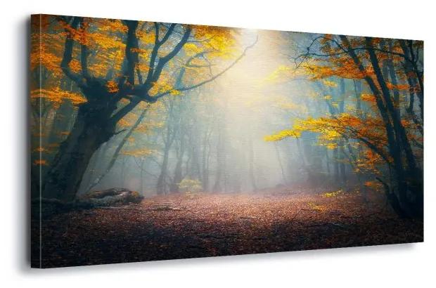 GLIX Obraz na plátně - The Enchanted Forest 60x40 cm
