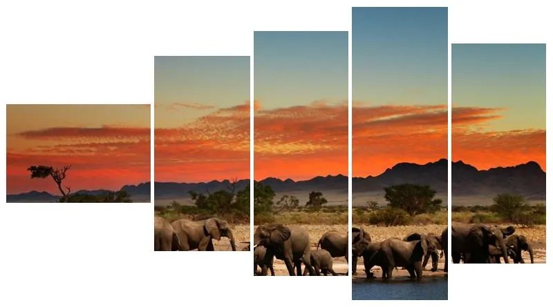 Obraz stáda slonů u napajedla  (110x60 cm), 40 dalších rozměrů