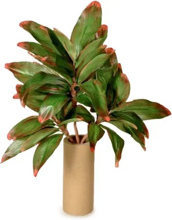 Umělá rostlina Dracena-cordyline,  45 cm