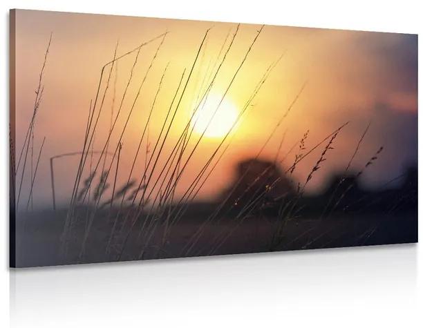 Obraz východ slunce nad loukou Varianta: 120x80