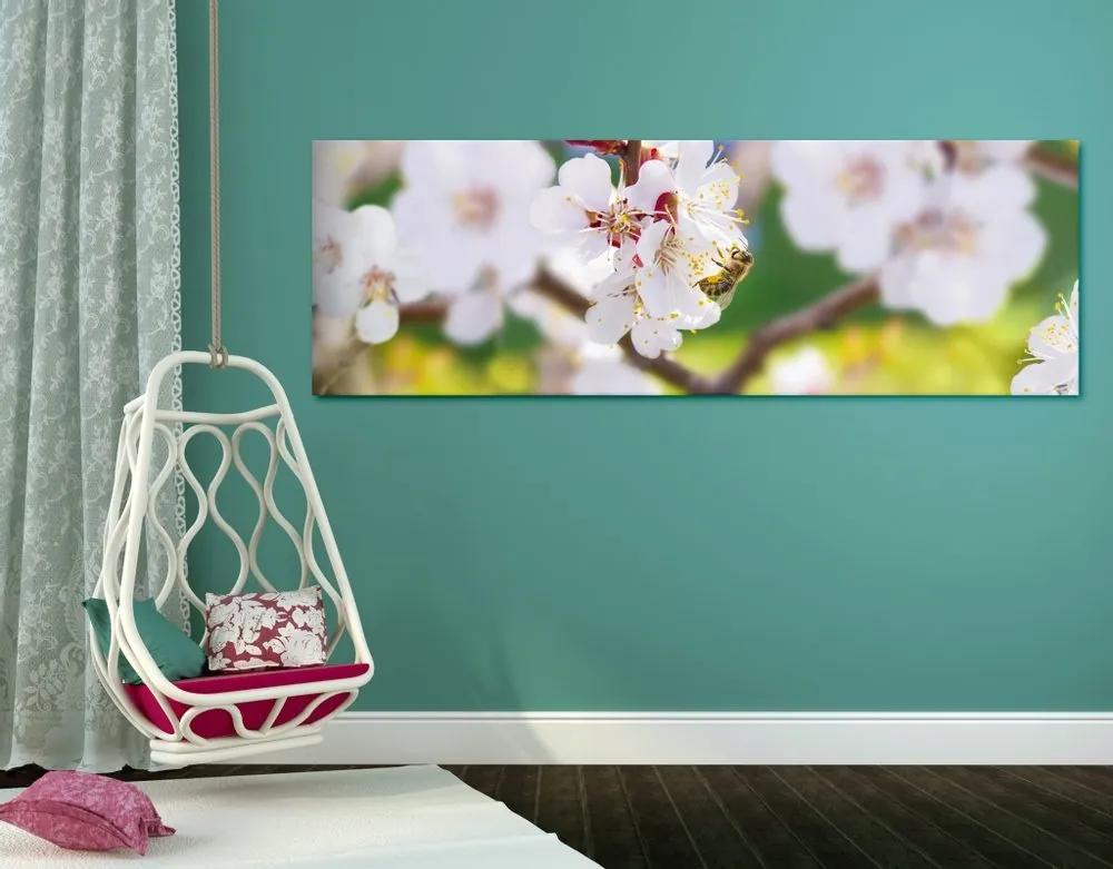 Obraz květy stromu v jarním období - 135x45 cm