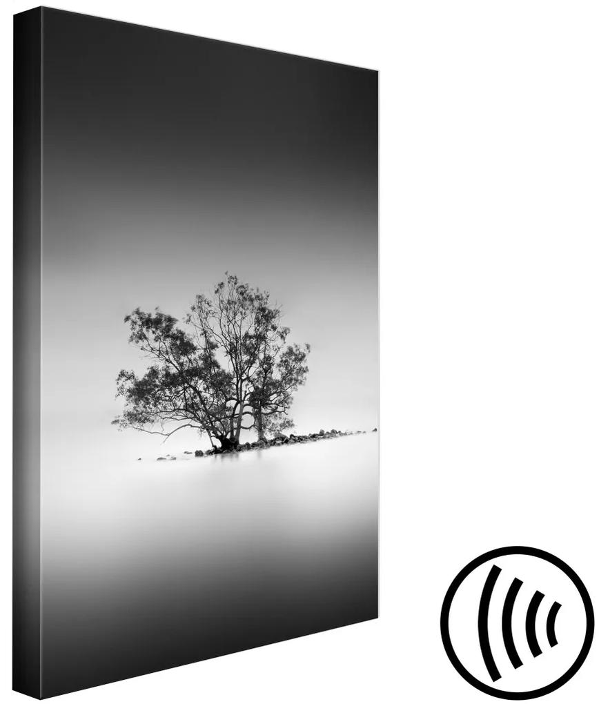 Obraz Strom v mlze (1-dílný) - Krajina přírody v černobílém odstínu