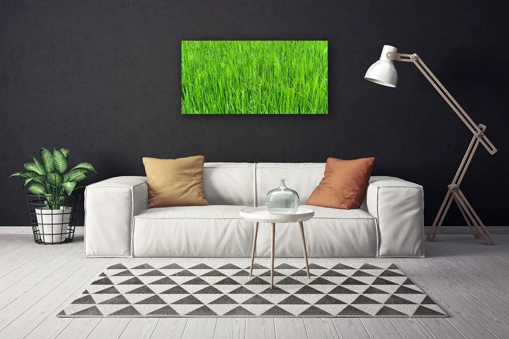 Obraz na plátně Zelená Tráva Příroda Trávník 120x60 cm
