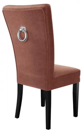 Čalouněná jídelní židle ST67 + klepadlo, Barva:: zlatý, Barva: černá, Potah: Magic Velvet 2216
