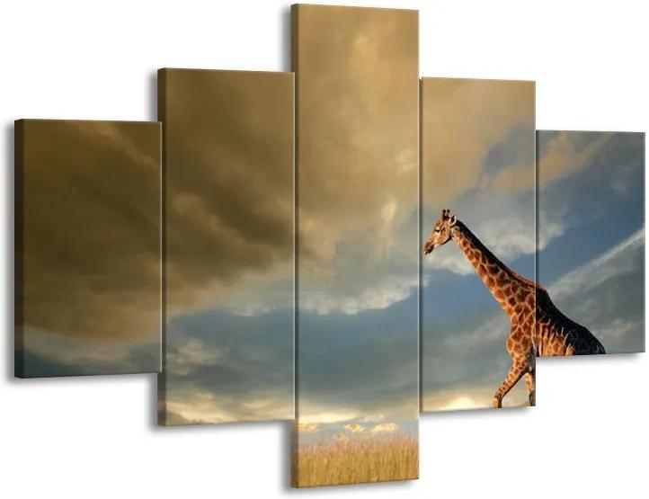 Žirafa 100x70 cm