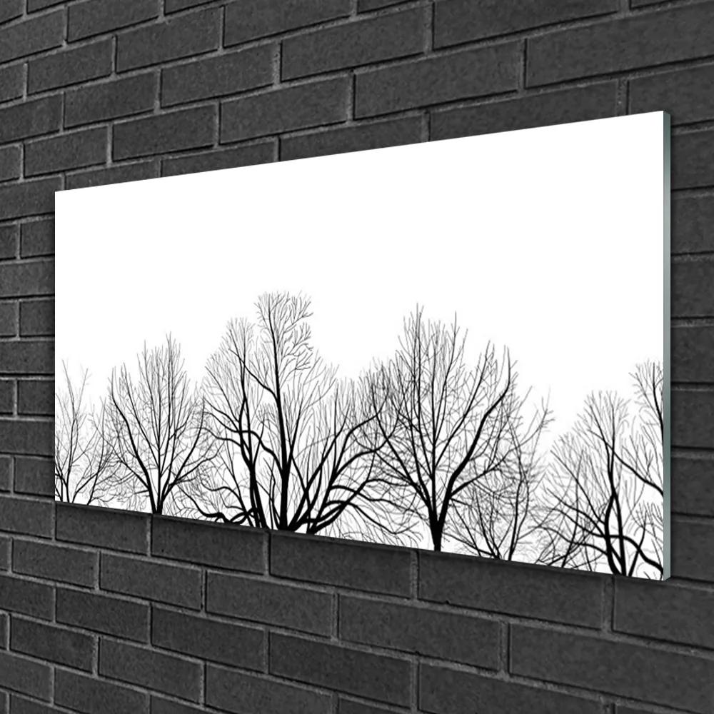 Obraz na skle Stromy Rostlina Příroda 100x50 cm