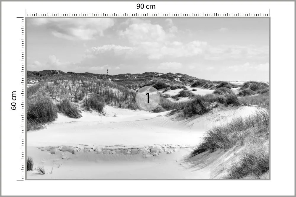Fototapeta Dune Paradise V Černé A Bílé Strukturální vinyl 208x146