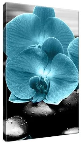 Obraz na plátně Tyrkysová orchidej a kameny 20x30cm 2398A_1S