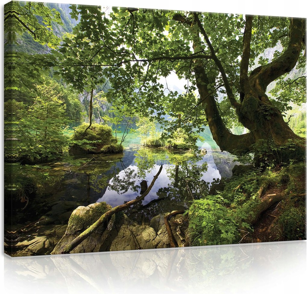 Obraz 70x50 Lesní přístav – Harmonie přírody ve vašem domě Klid a relaxace