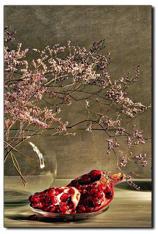 Obraz na plátně - Zátiší - větev a granátové jablko - obdélník 7274A (100x70 cm)