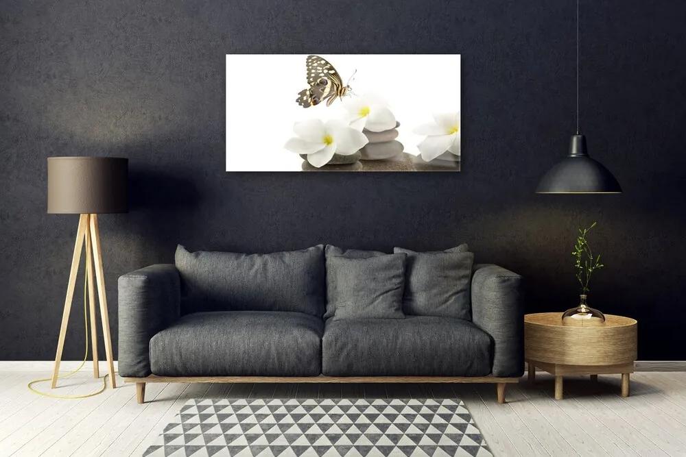 Obraz na skle Motýl Květ Kameny Rostlina 100x50 cm