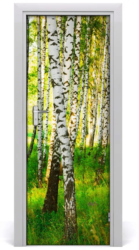 Fototapeta na dveře samolepící břízový les 75x205 cm