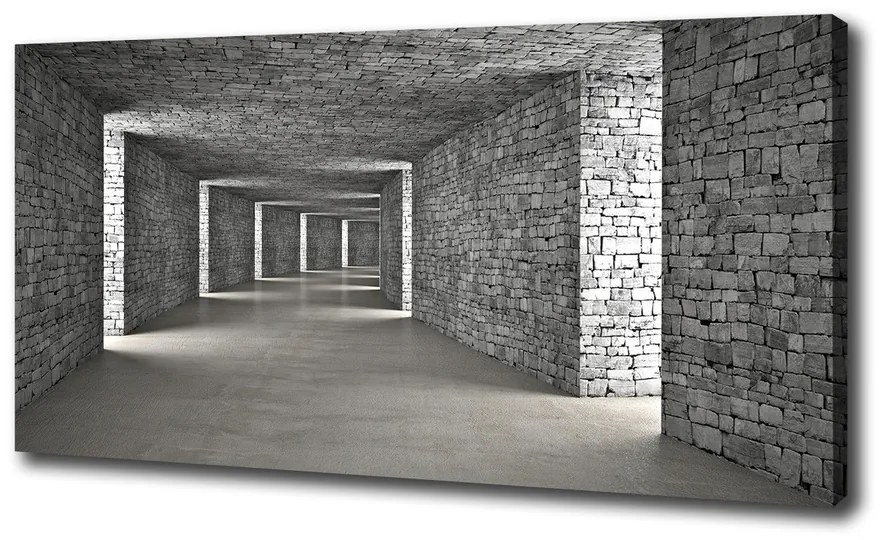 Wallmuralia Foto obraz na plátně Tunel z cihel 100x50 cm