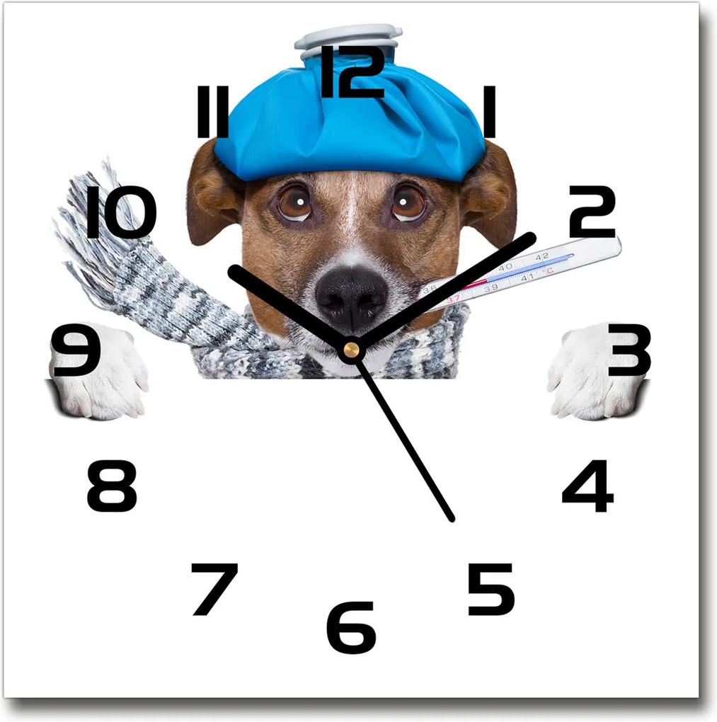 Skleněné hodiny čtverec Nemocný pes
