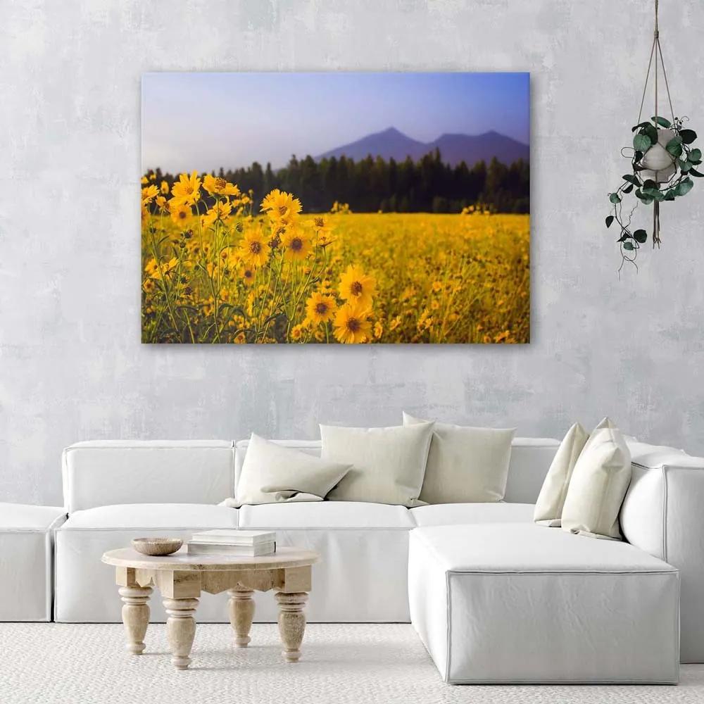 Gario Obraz na plátně Žluté polní květiny Rozměry: 60 x 40 cm