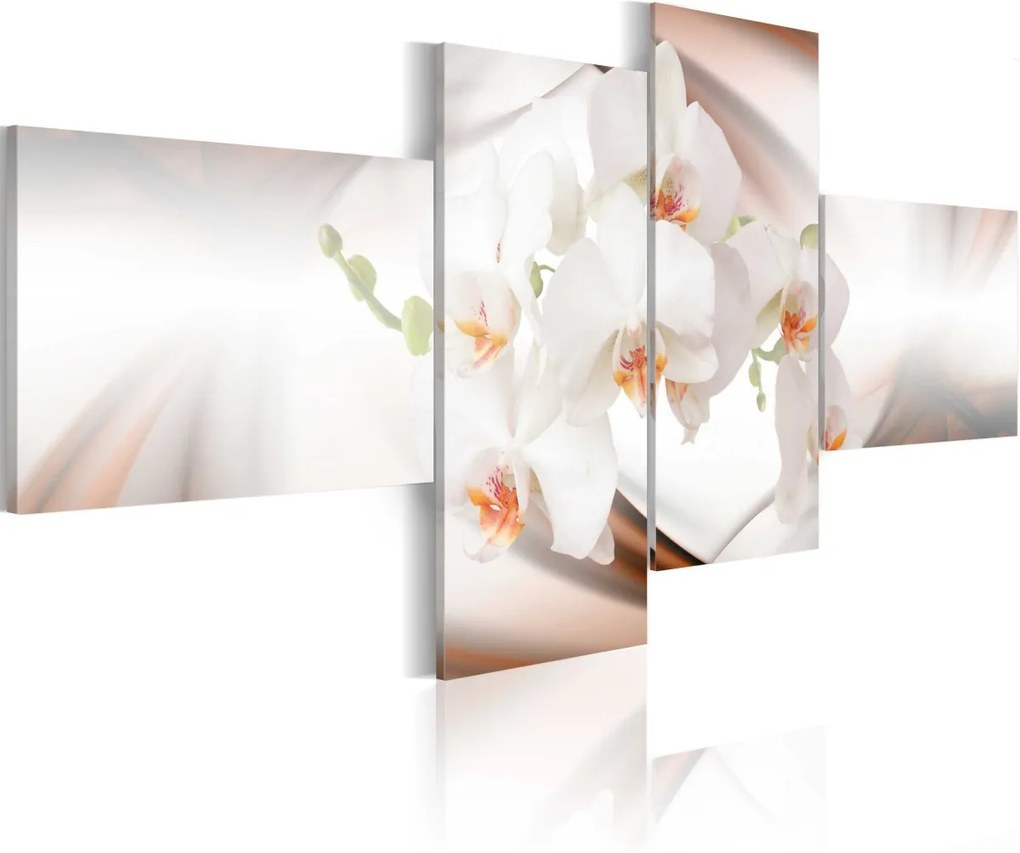Obraz - Krémově bílé orchideje - 100x45