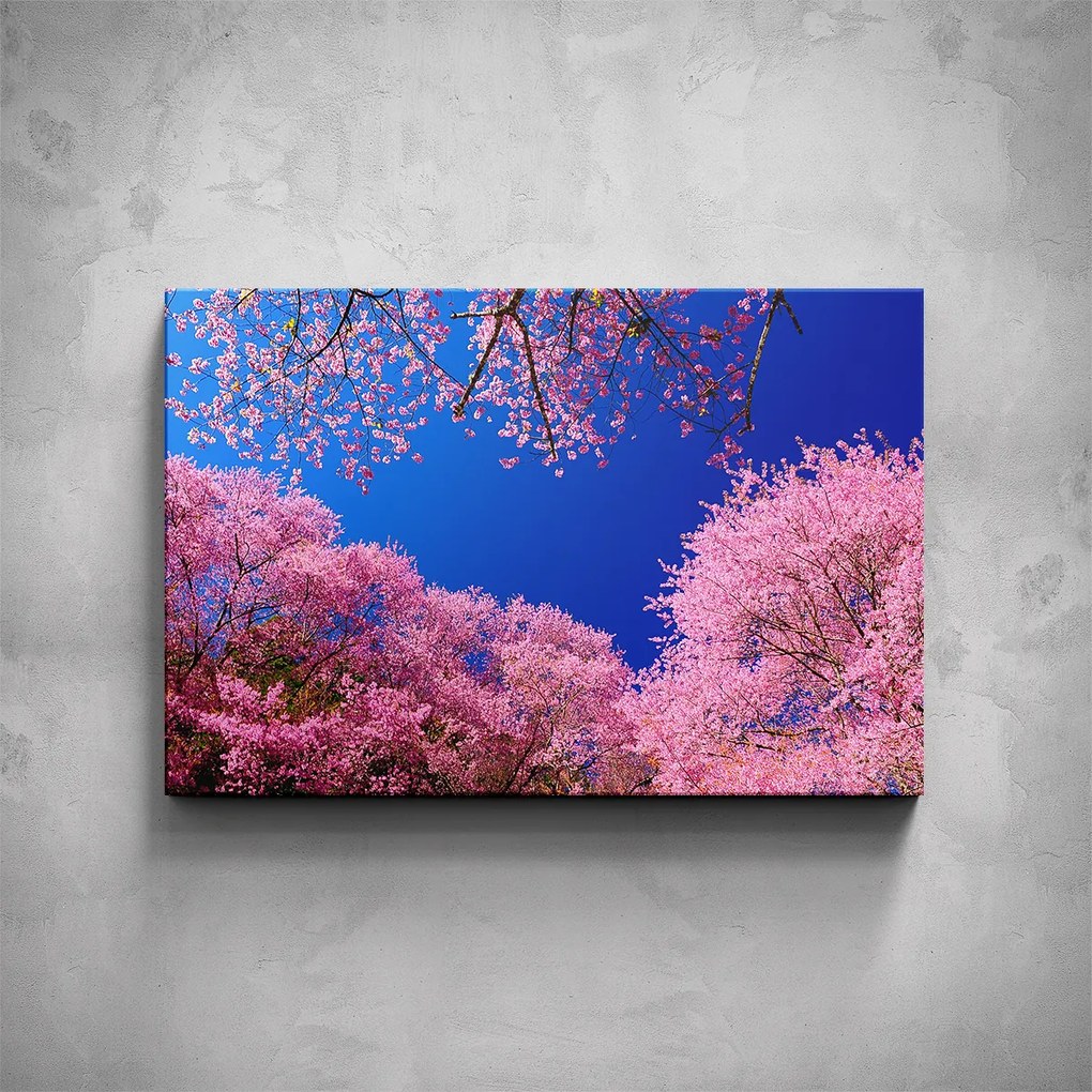 Obraz - Kvetoucí stromy - PopyDesign