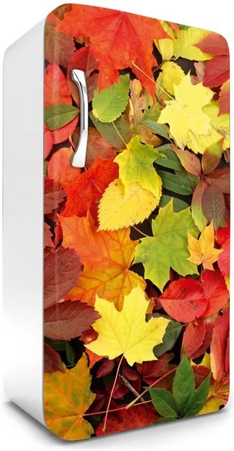 FR-120-025 Fototapeta na lednici - Colourful Leaves