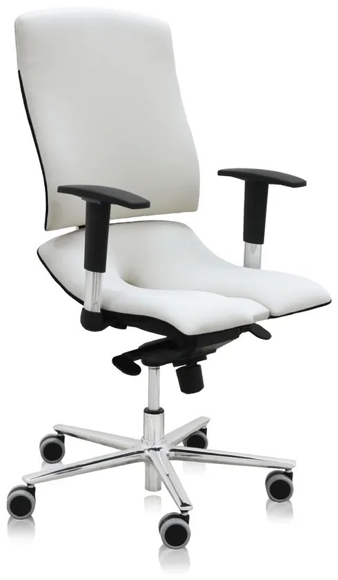 Zdravotní židle Steel Standard+, bílá