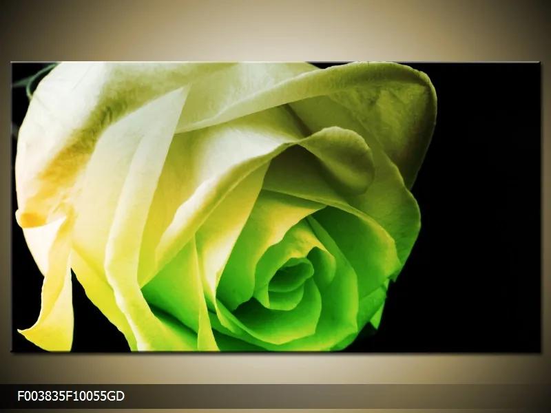Obraz zelené růže  (), 40 dalších rozměrů