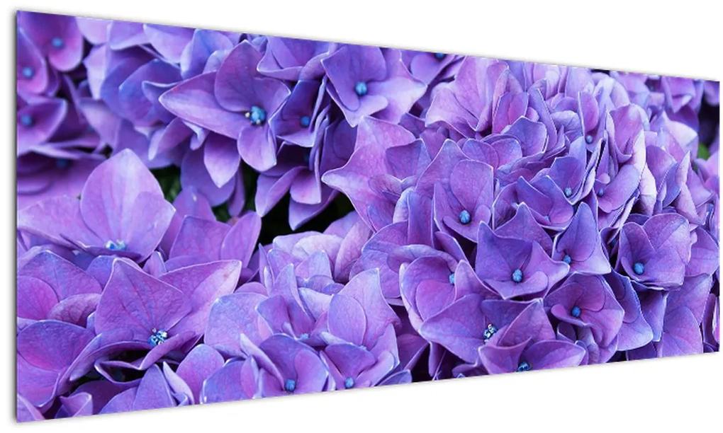 Obraz fialových květin (145x58 cm), 40 dalších rozměrů