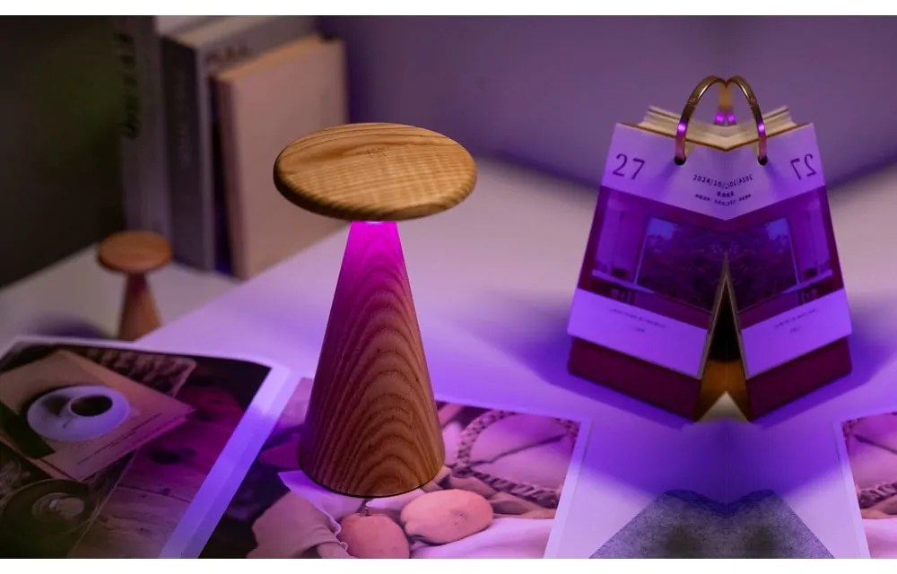 LED stolní lampa v přírodní barvě s dřevěným stínidlem (výška 21 cm) Sylva – Gingko